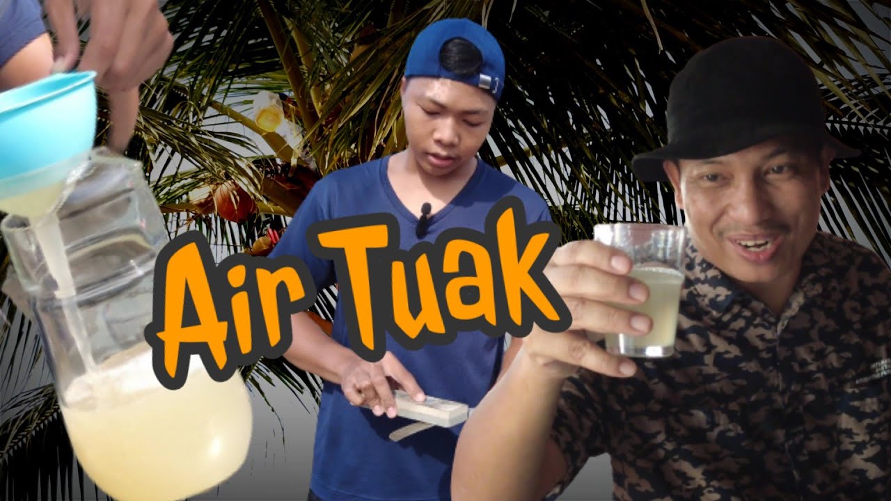 Anak muda menjalankan proses penyadapan nira kelapa atau lebih popular ...
