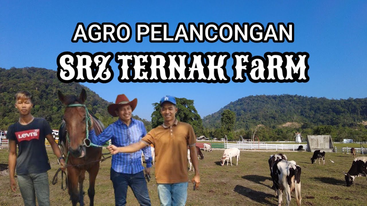 Agro Pelancongan | SRZ Ternak Jeram Mengaji, Ladang Ternakan Jadi Tumpuan Ramai | M Niaga