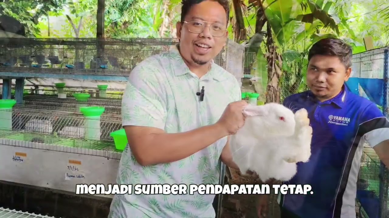 KURSUS PENTERNAKAN ARNAB 2025: BONGKAR RAHSIA PENTERNAKAN ARNAB PEDAGING: JANA PENDAPATAN ...